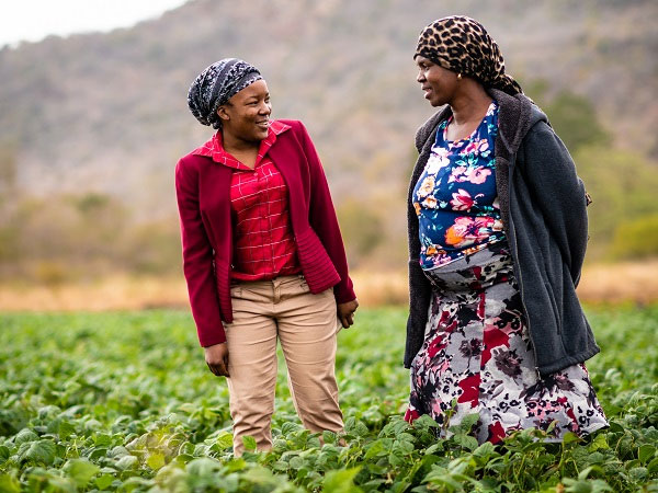 SPAR - Small scale farmers get food safety accreditation