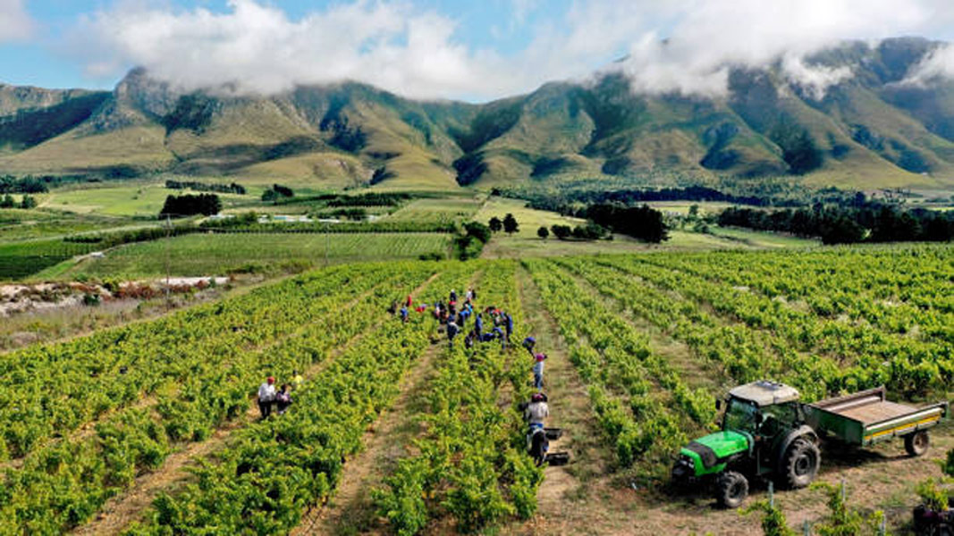 SPAR - Inclusive agricultural sector needed to alleviate rural poverty