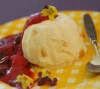 SPAR - Frozen Lemon Cheesecake Dessert Recipe