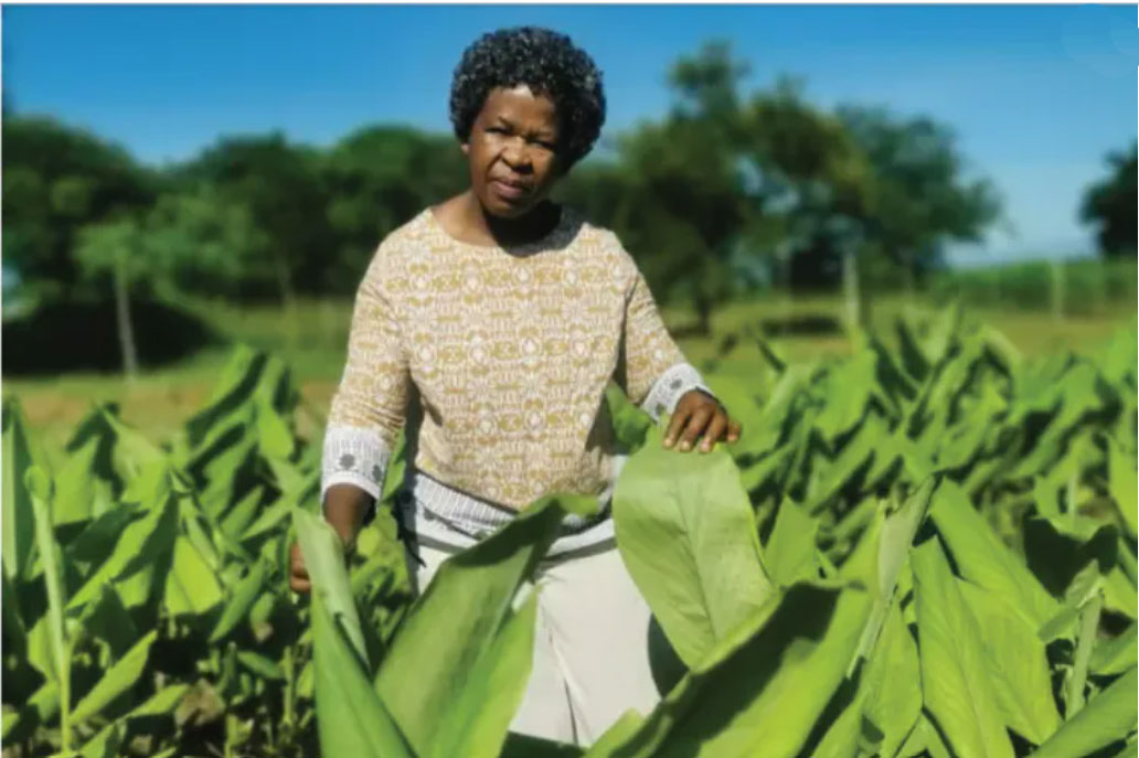 SPAR - SPAR continues to support emerging farmers