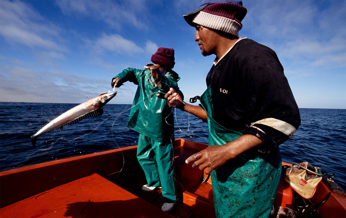 SPAR - The Dish on Sustainable Fish