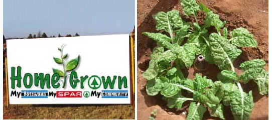 SPAR - Homegrown: Sustainable Living